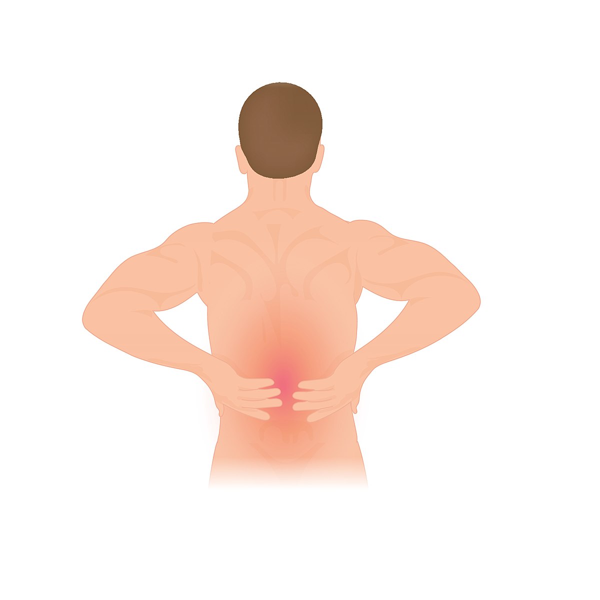 Back Strains / Back Sprains | Back Pain Info